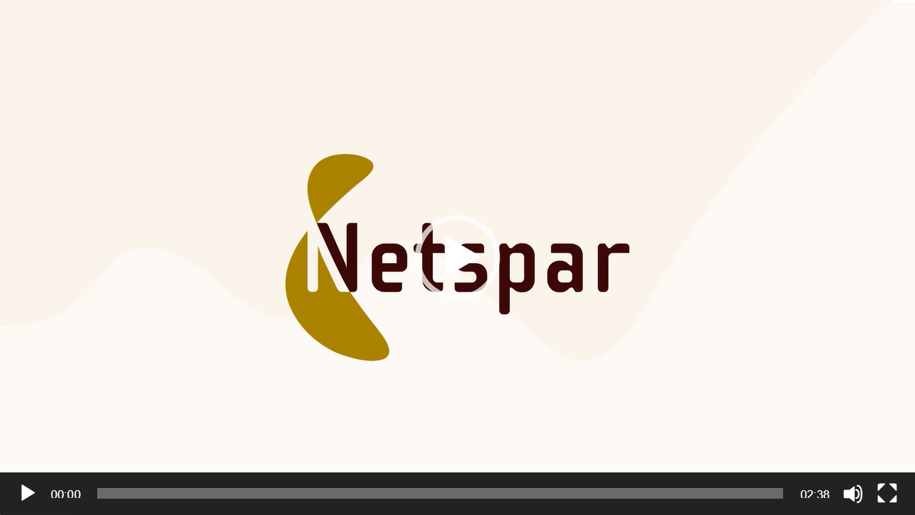 Netdespatch Logo